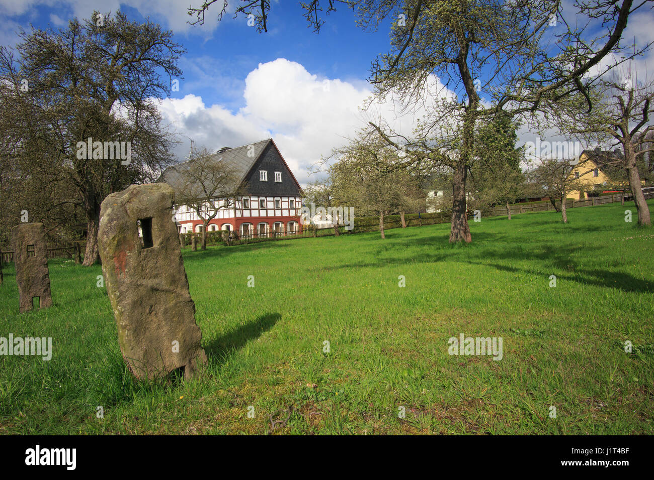 Tree framing houses hi-res stock photography and images - Alamy