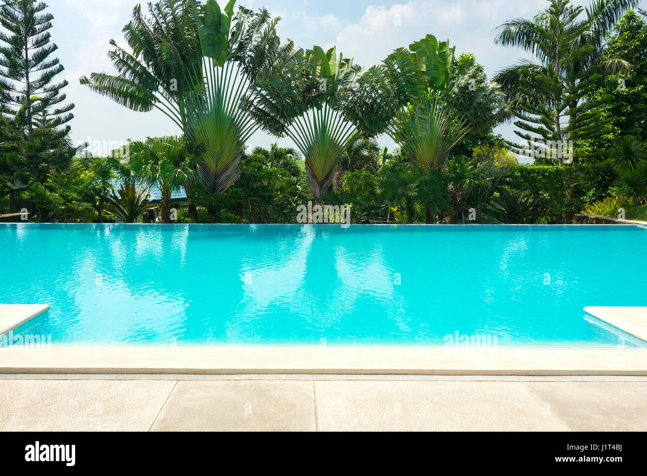 Tropical swimming pool surrounded by trees Stock Photo - Alamy