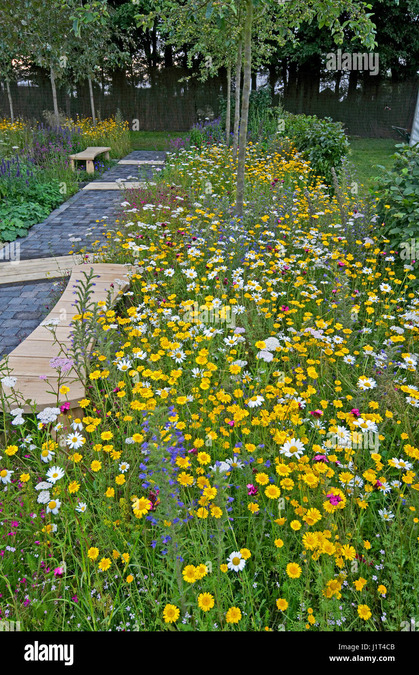 An urban orchard garden created with apple trees and wild flowers to ...