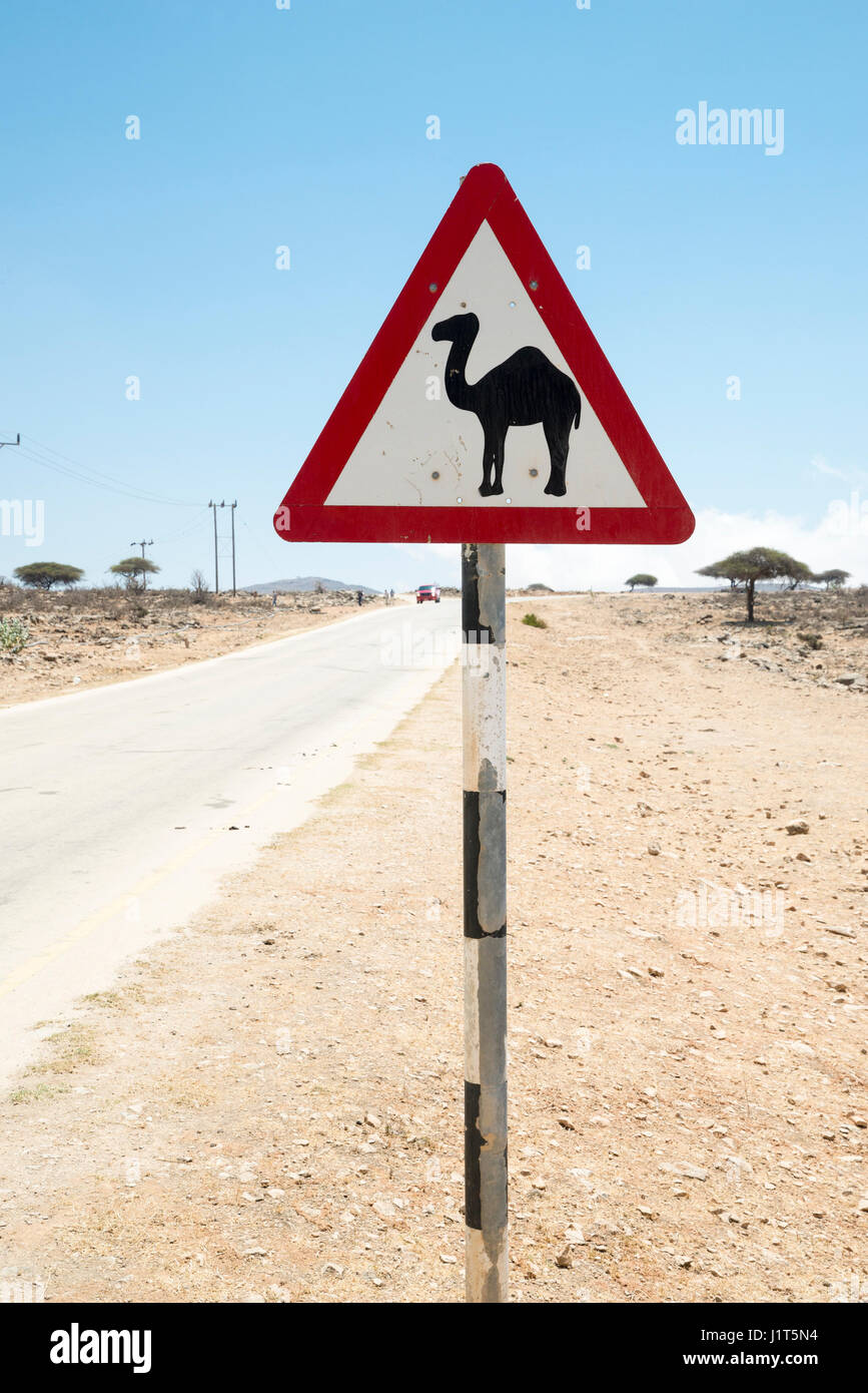 Camel Crossing Sign Stock Photos & Camel Crossing Sign Stock Images - Alamy