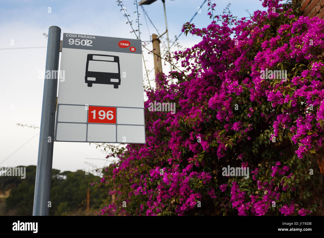 Barcelona, Spain - January 03 2017: 196 Bus stop sign on the way to ...