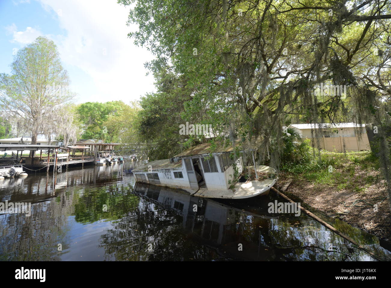 swamp water mid state of Florida USA sunken boats with swamp trees ...