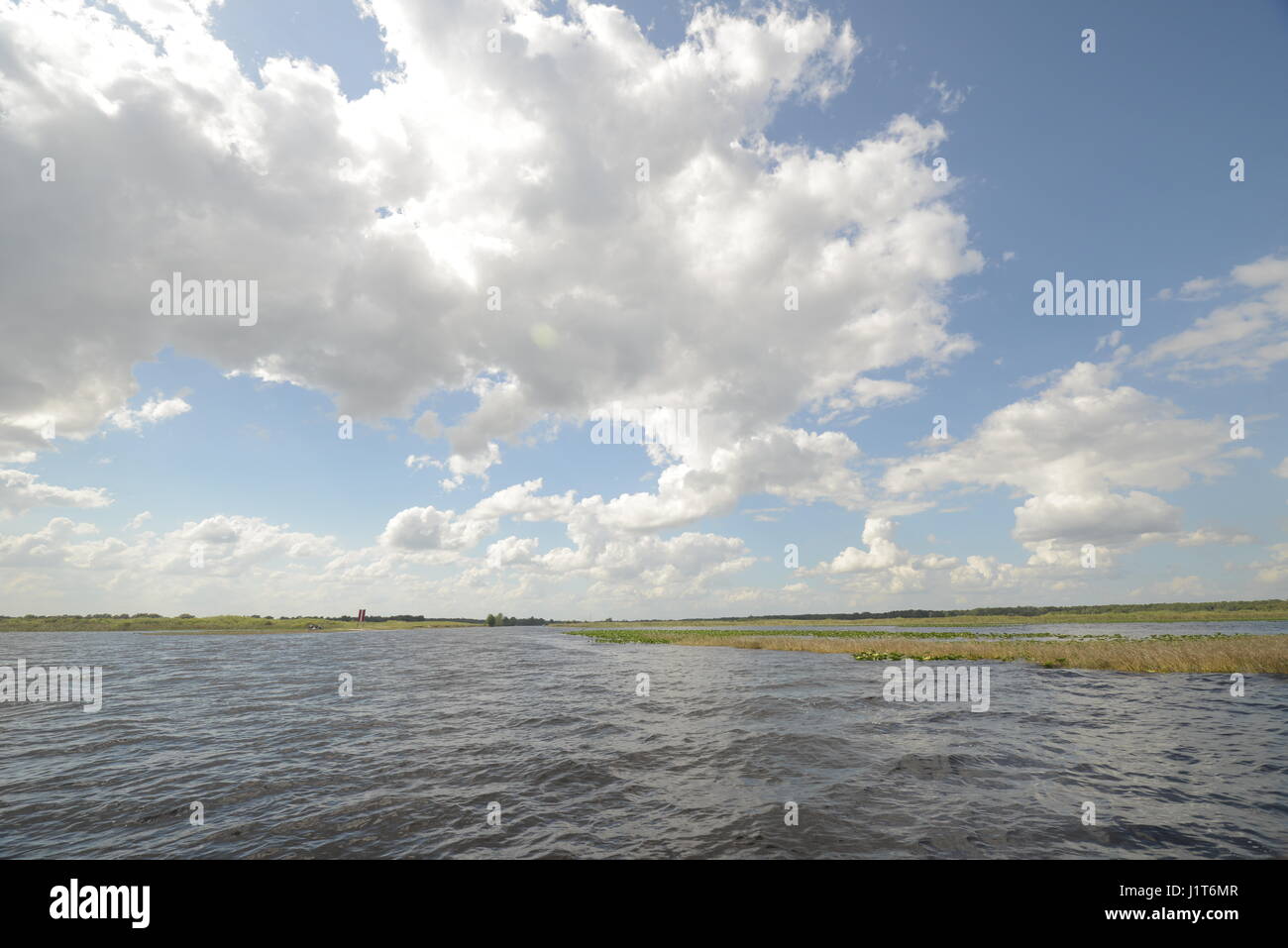 Swamp water hi-res stock photography and images - Alamy