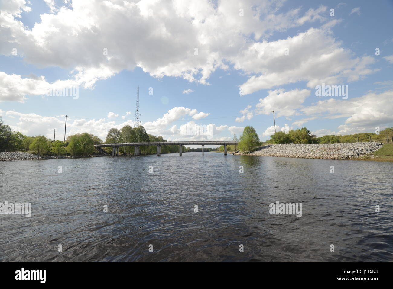 Swamp water hi-res stock photography and images - Alamy