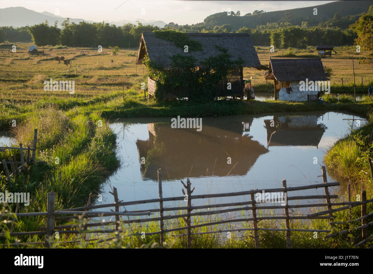 the landscape near the town of Phonsavan in the province Xieng Khuang ...