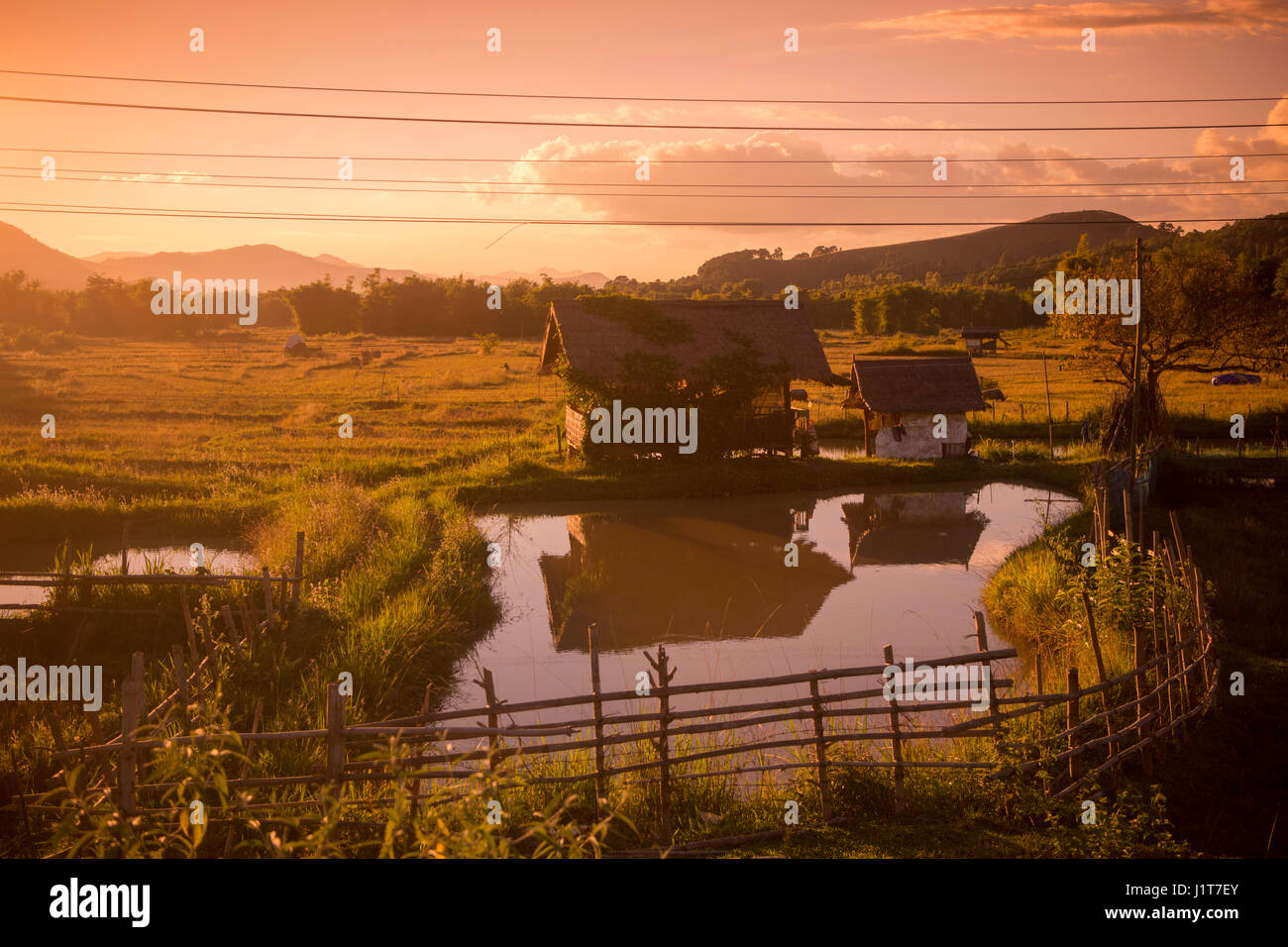 the landscape near the town of Phonsavan in the province Xieng Khuang ...