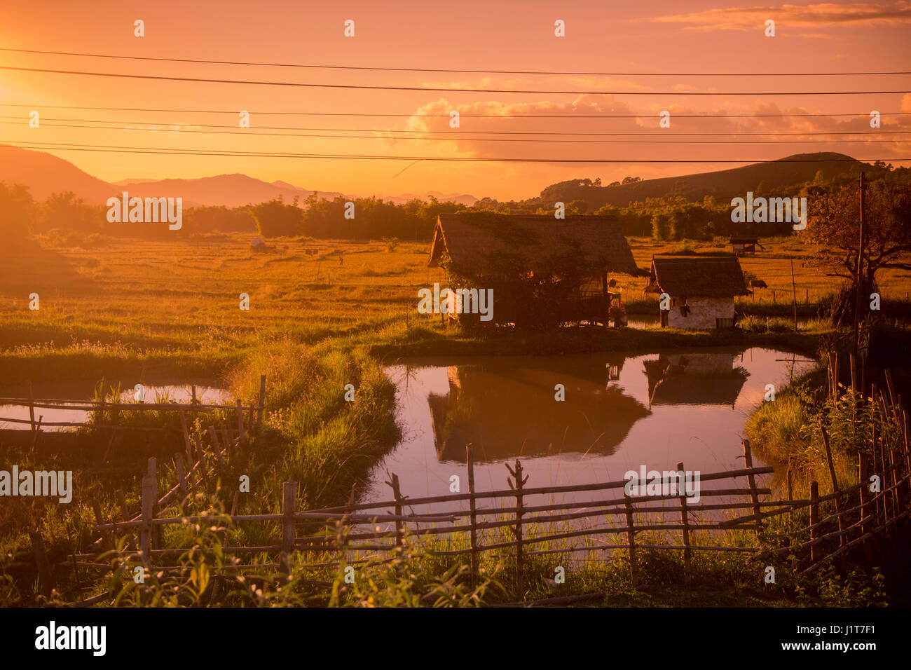 the landscape near the town of Phonsavan in the province Xieng Khuang ...