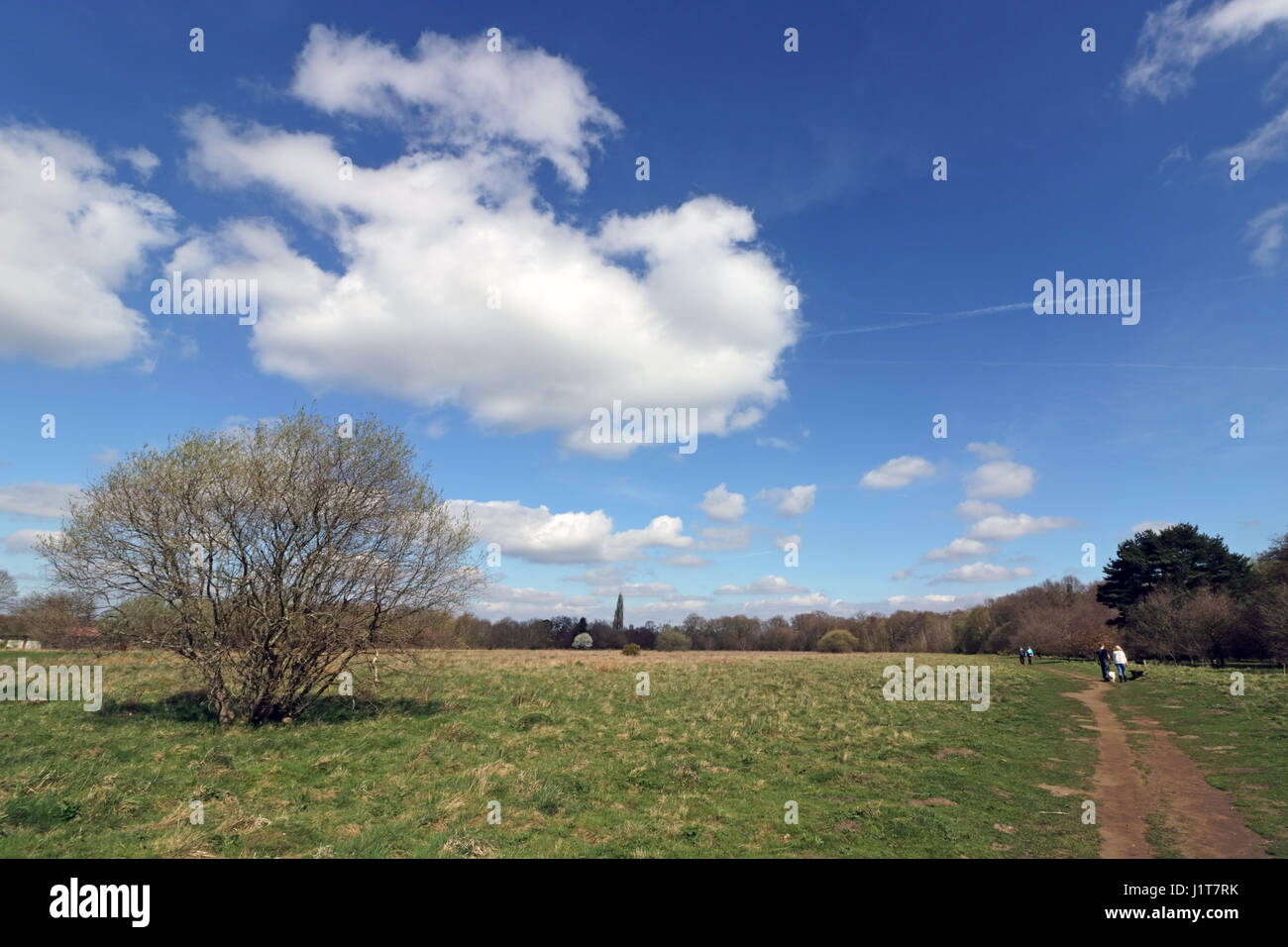 Ripley Green, Ripley, Surrey, England, UK Stock Photo - Alamy
