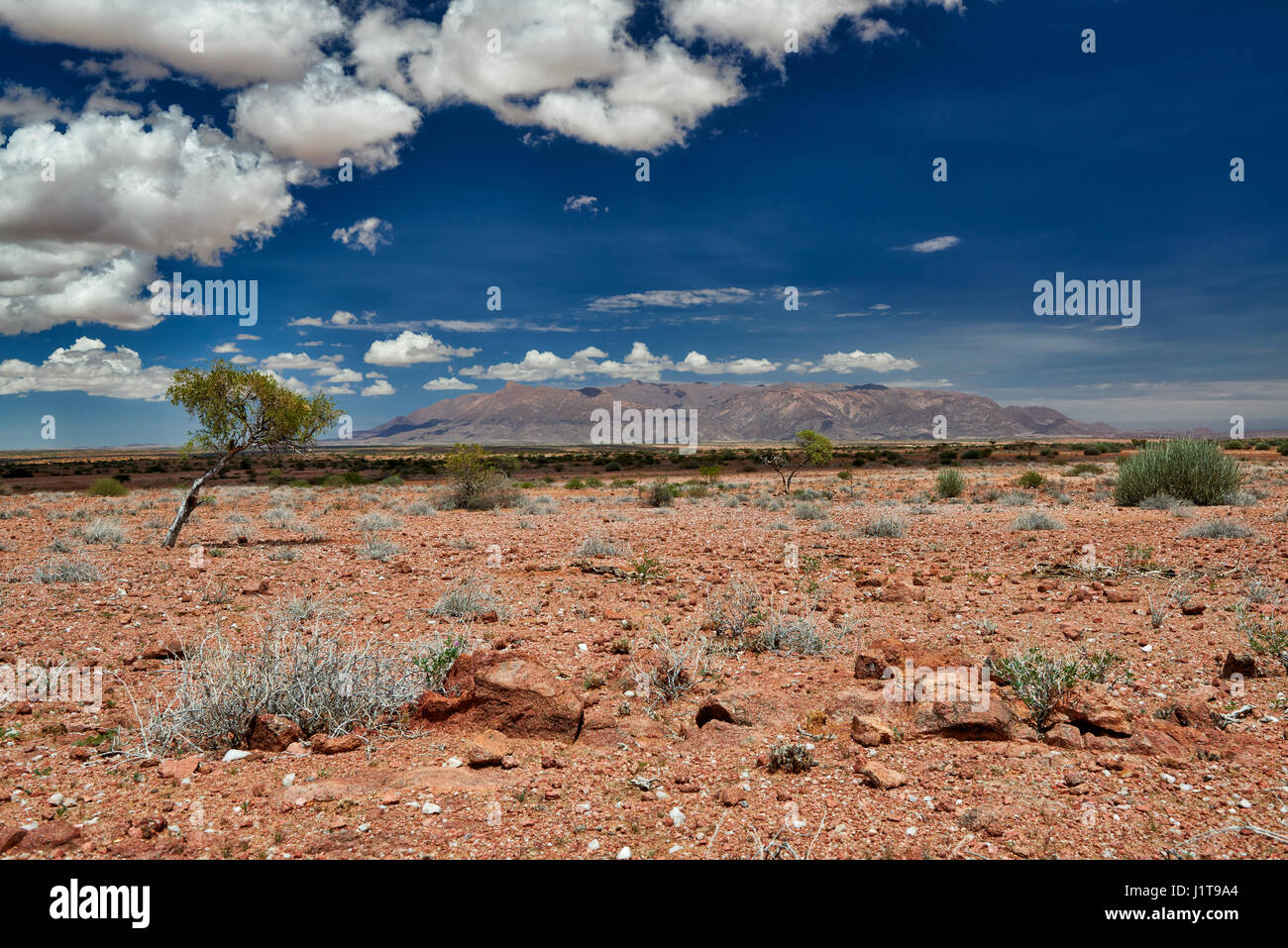 Brandberg mountain hi-res stock photography and images - Alamy