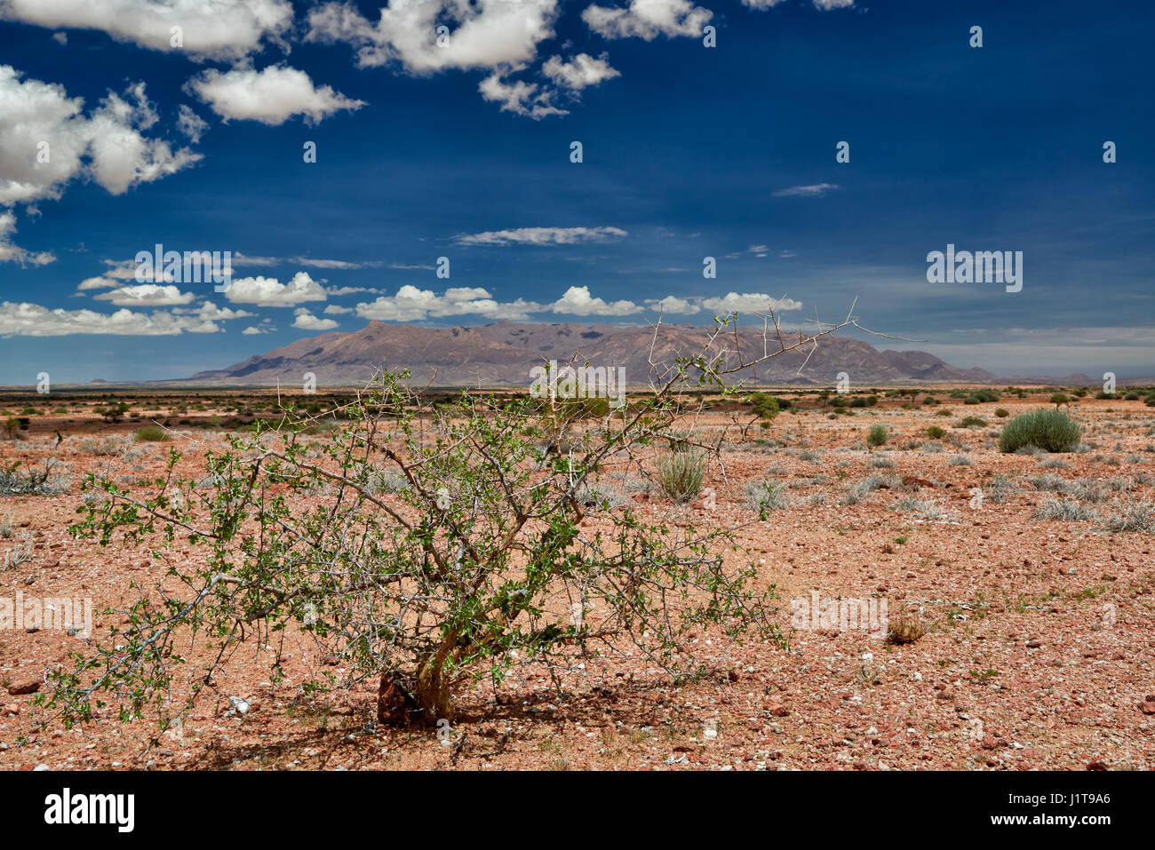 Granite rocks namibia erongo hi-res stock photography and images - Alamy