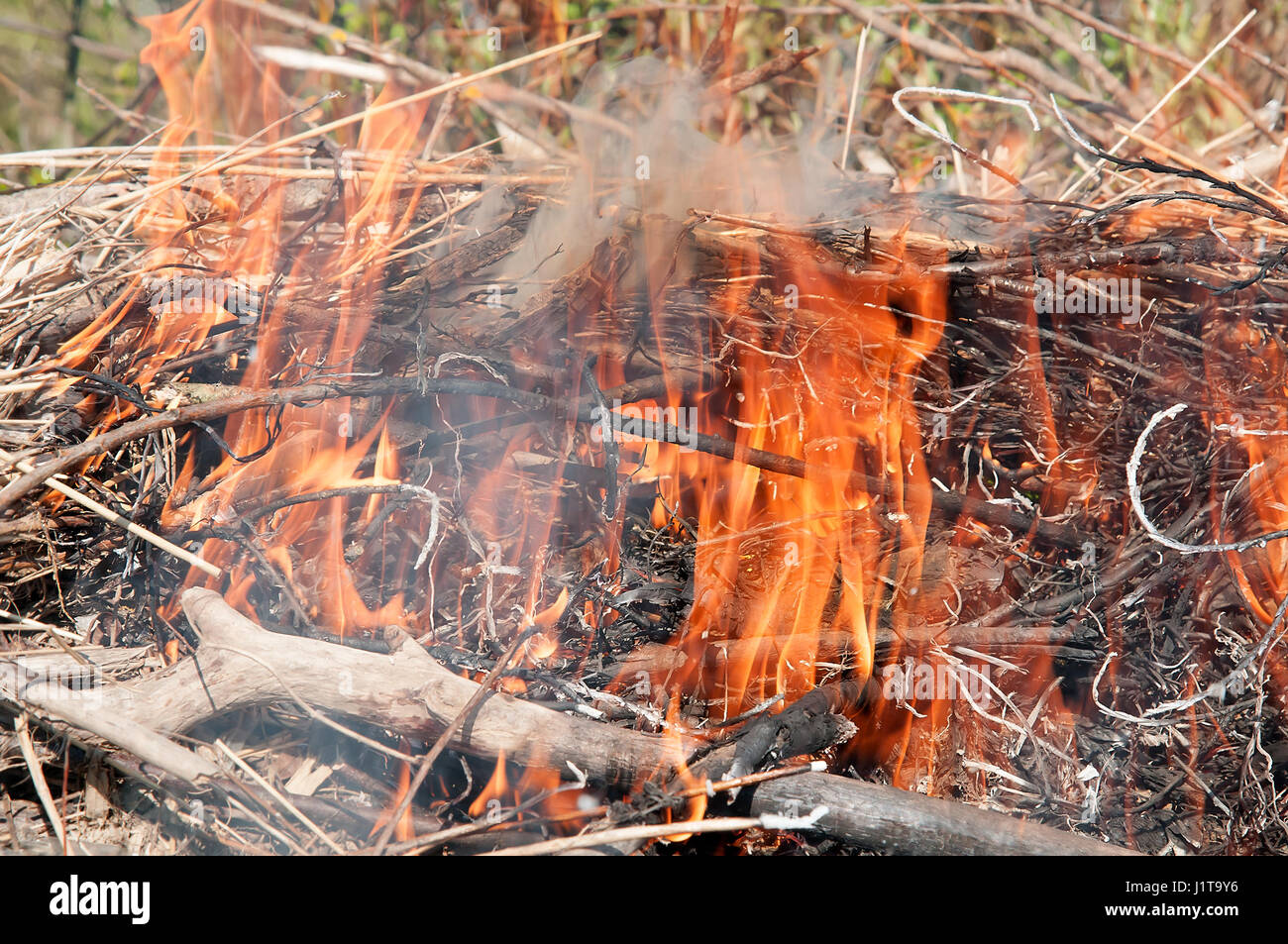 fire on spring field Stock Photo - Alamy