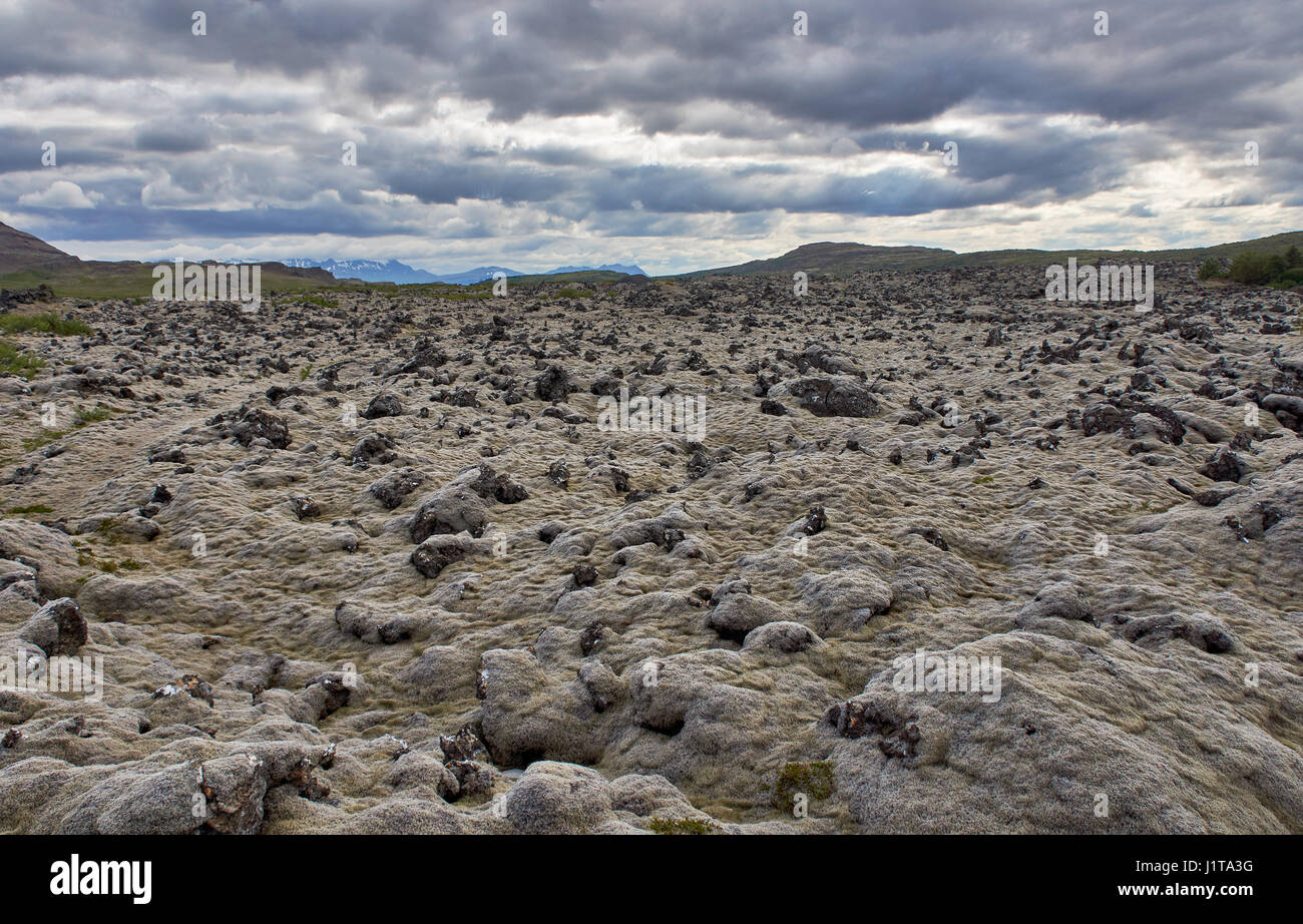 Grabrokarhraun lava fields near village of Bifrost and Glanni ...