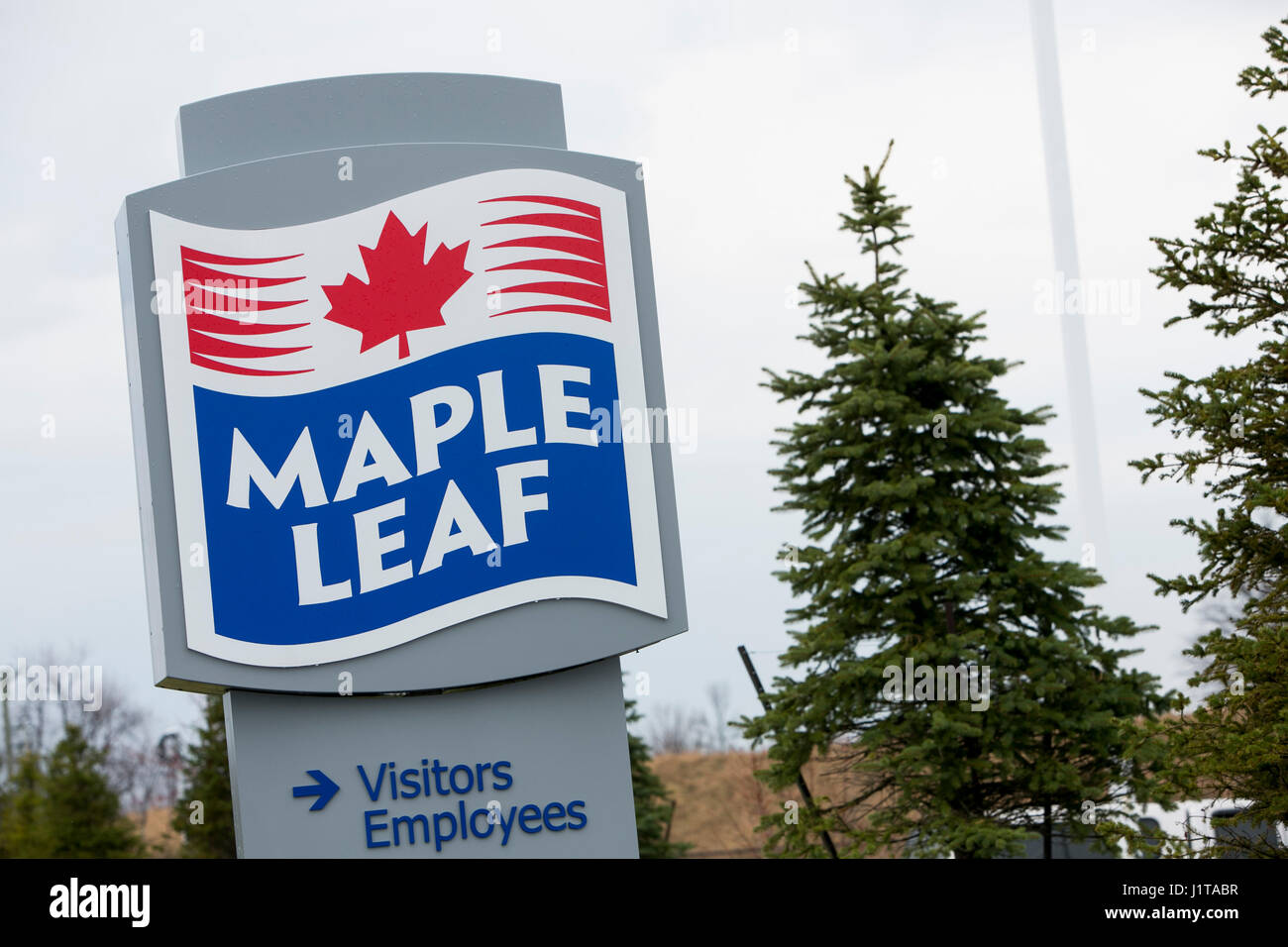 Maple Leaf Foods Logo