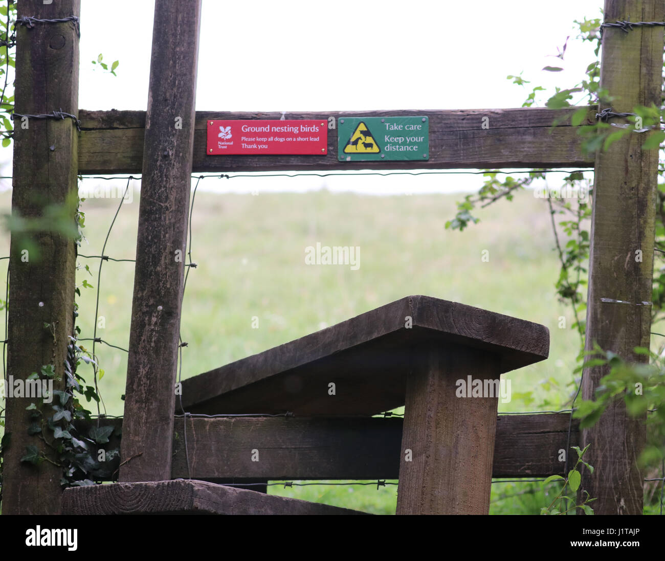Ground Nesting birds sign Stock Photo - Alamy