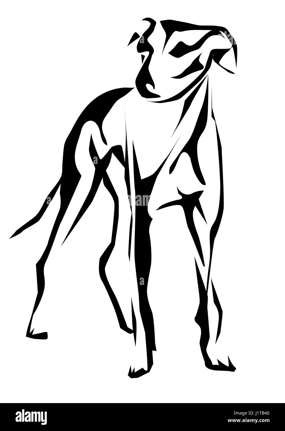 greyhound. abstract silhouette of dog on white background Stock Vector ...