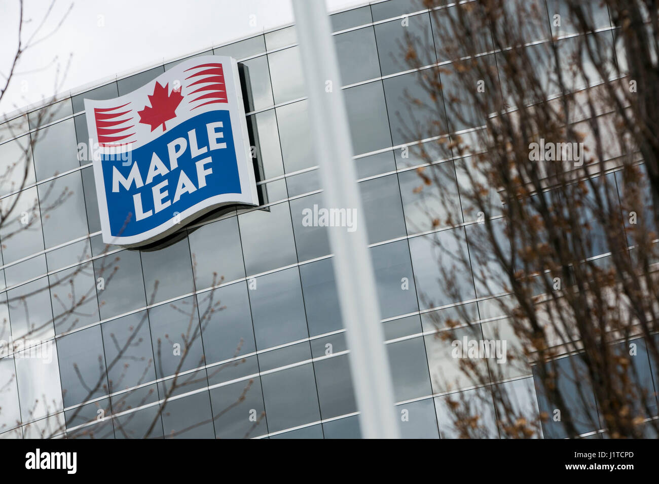 Maple leaf logo hi-res stock photography and images - Alamy