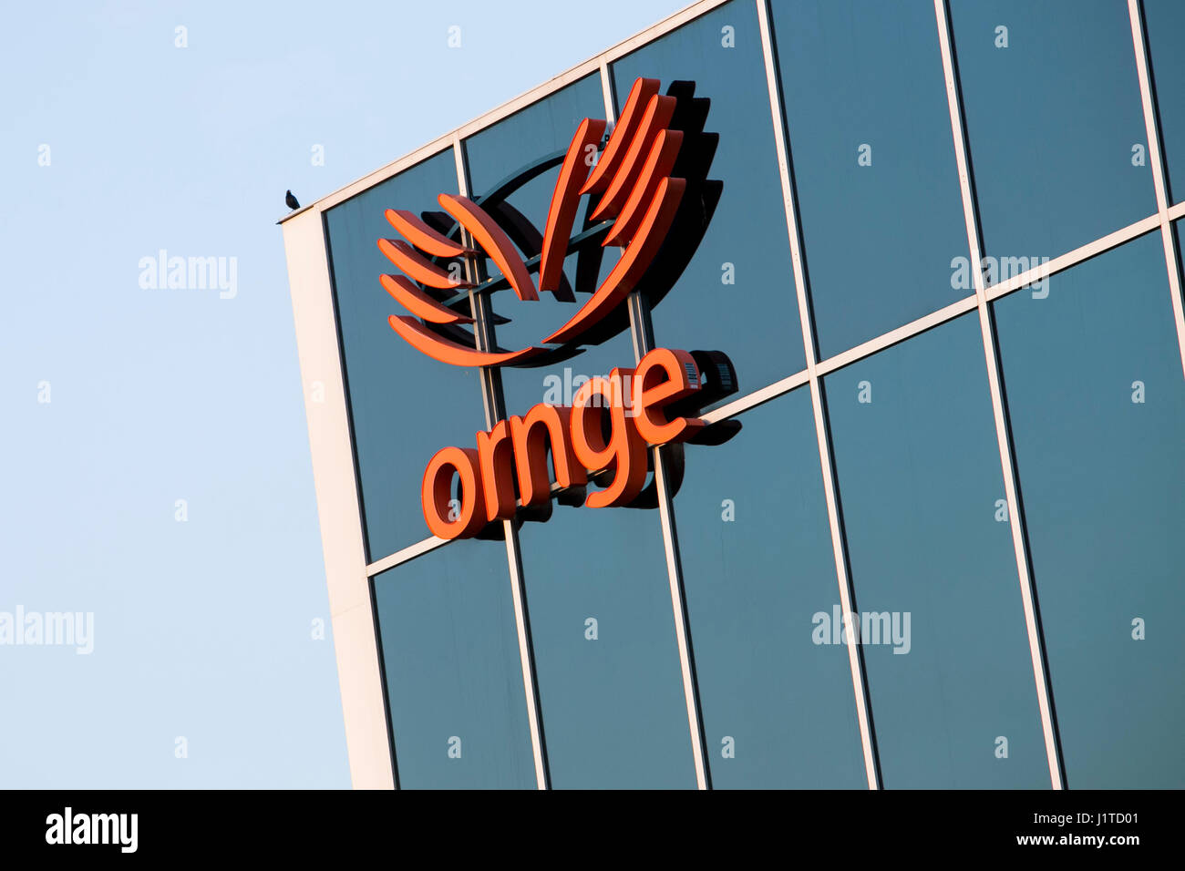 Ornge hi-res stock photography and images - Alamy