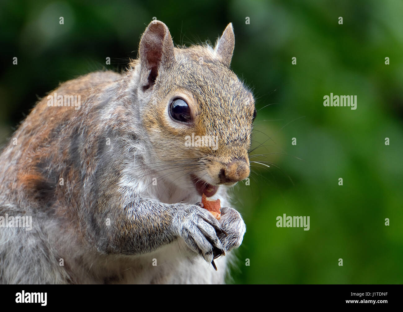 Jhold hi-res stock photography and images - Alamy