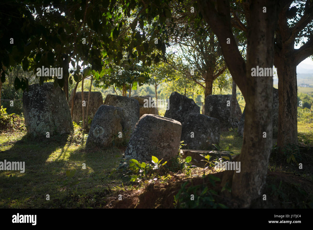 the plain of jars site 3 in the morning near the town of Phonsavan in ...