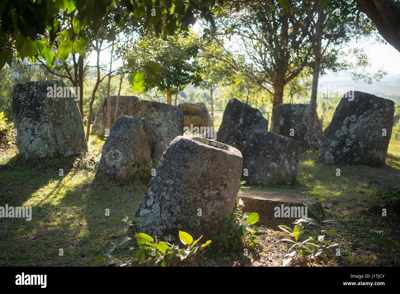 the plain of jars site 3 in the morning near the town of Phonsavan in ...