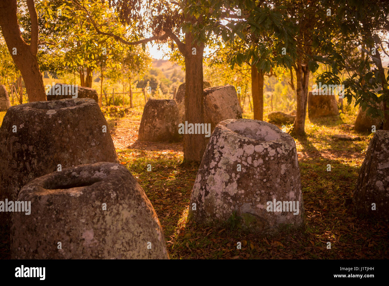the plain of jars site 3 in the morning near the town of Phonsavan in ...