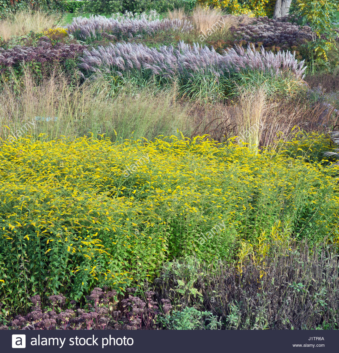 Oudolf Borders Stock Photos & Oudolf Borders Stock Images - Alamy