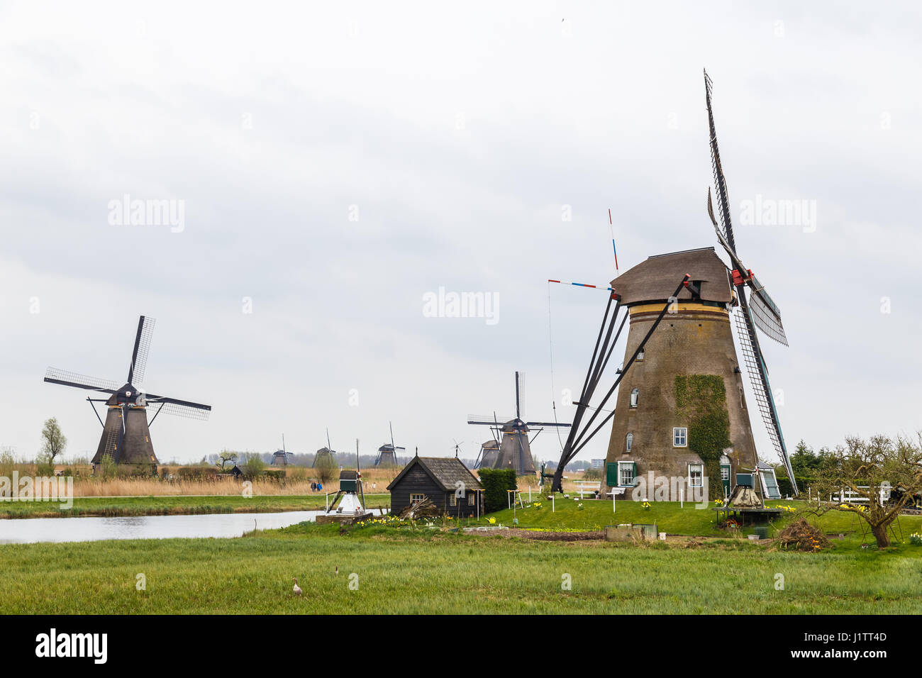 Rotterdam Kinderdijk Windmills park World Heritage Stock Photo - Alamy