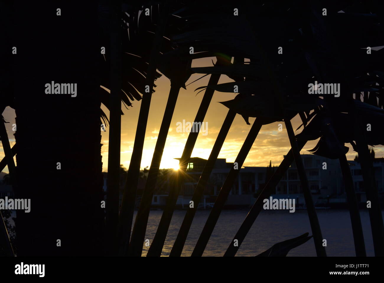 Fisheye lens flowers hi-res stock photography and images - Alamy