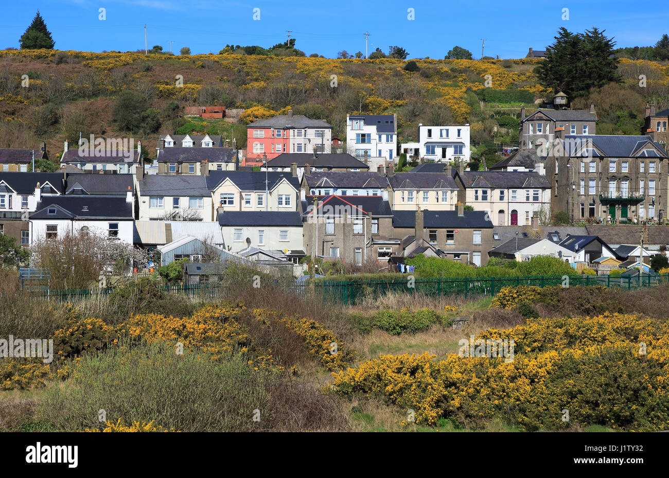 Rows of historic houses in a rural setting, Youghal, County Cork ...