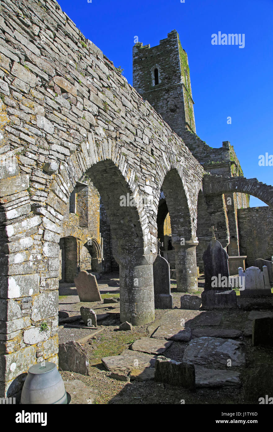 Timoleague friary hi-res stock photography and images - Alamy