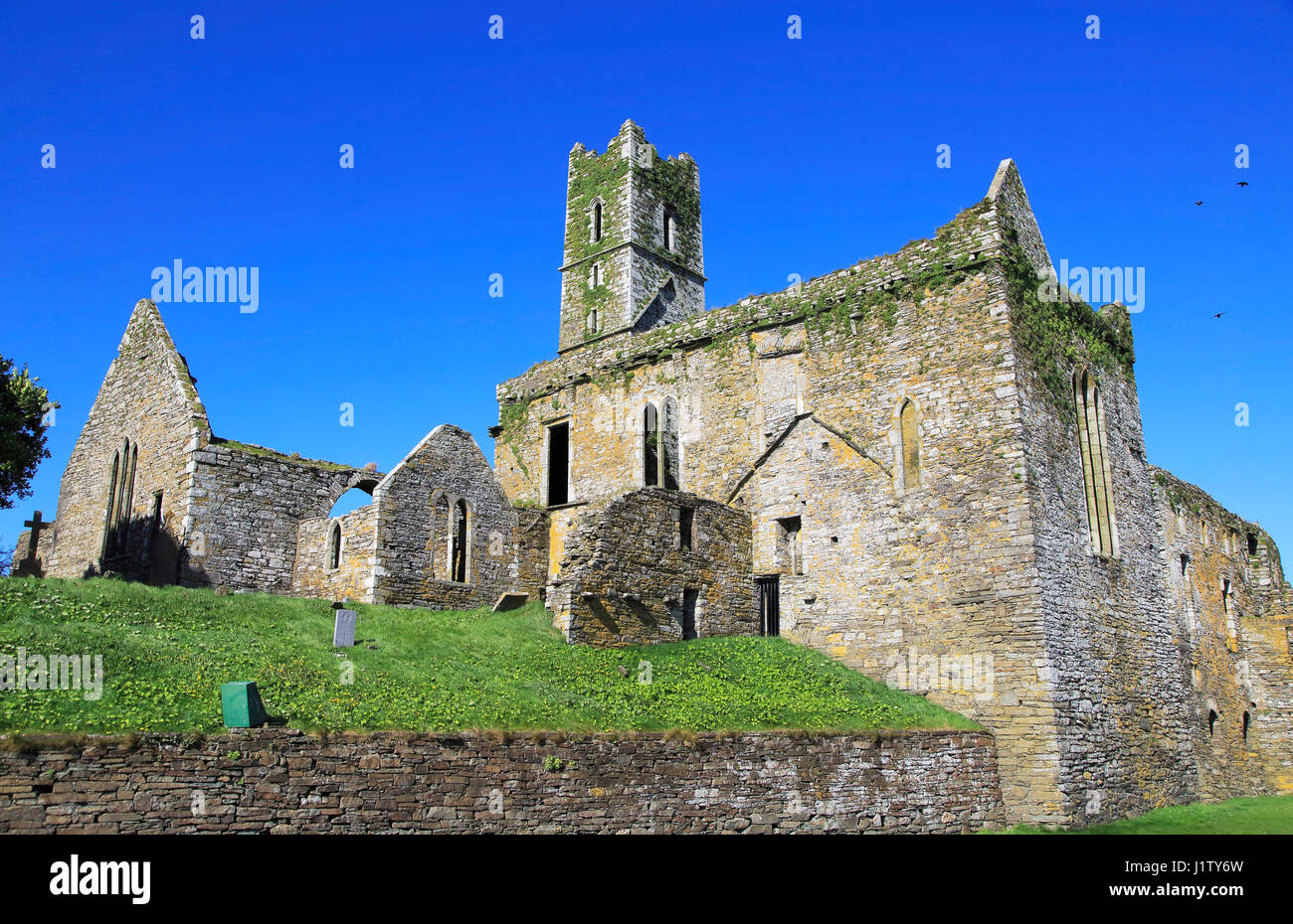 Timoleague abbey hi-res stock photography and images - Alamy