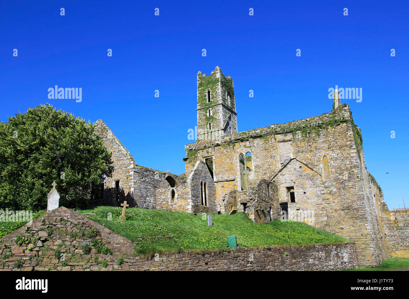 Historic ruins of Timoleague Friary, County Cork, Ireland, Irish ...