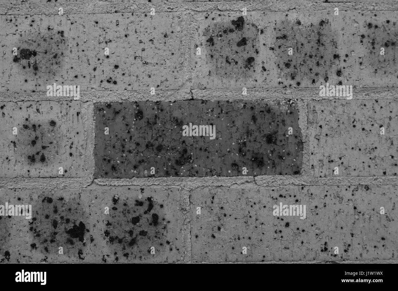 Vertical black random lines Black and White Stock Photos & Images - Alamy