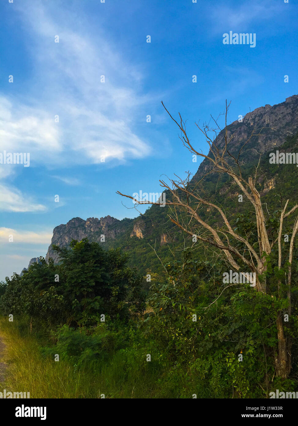 Bueng bua wood hi-res stock photography and images - Alamy