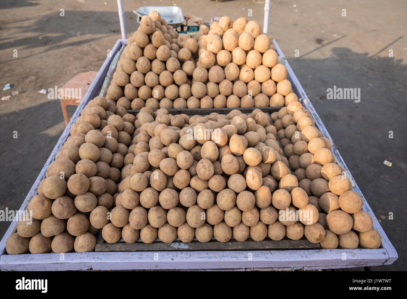Manilkara zapota, commonly known as the sapodilla, is a long-lived ...