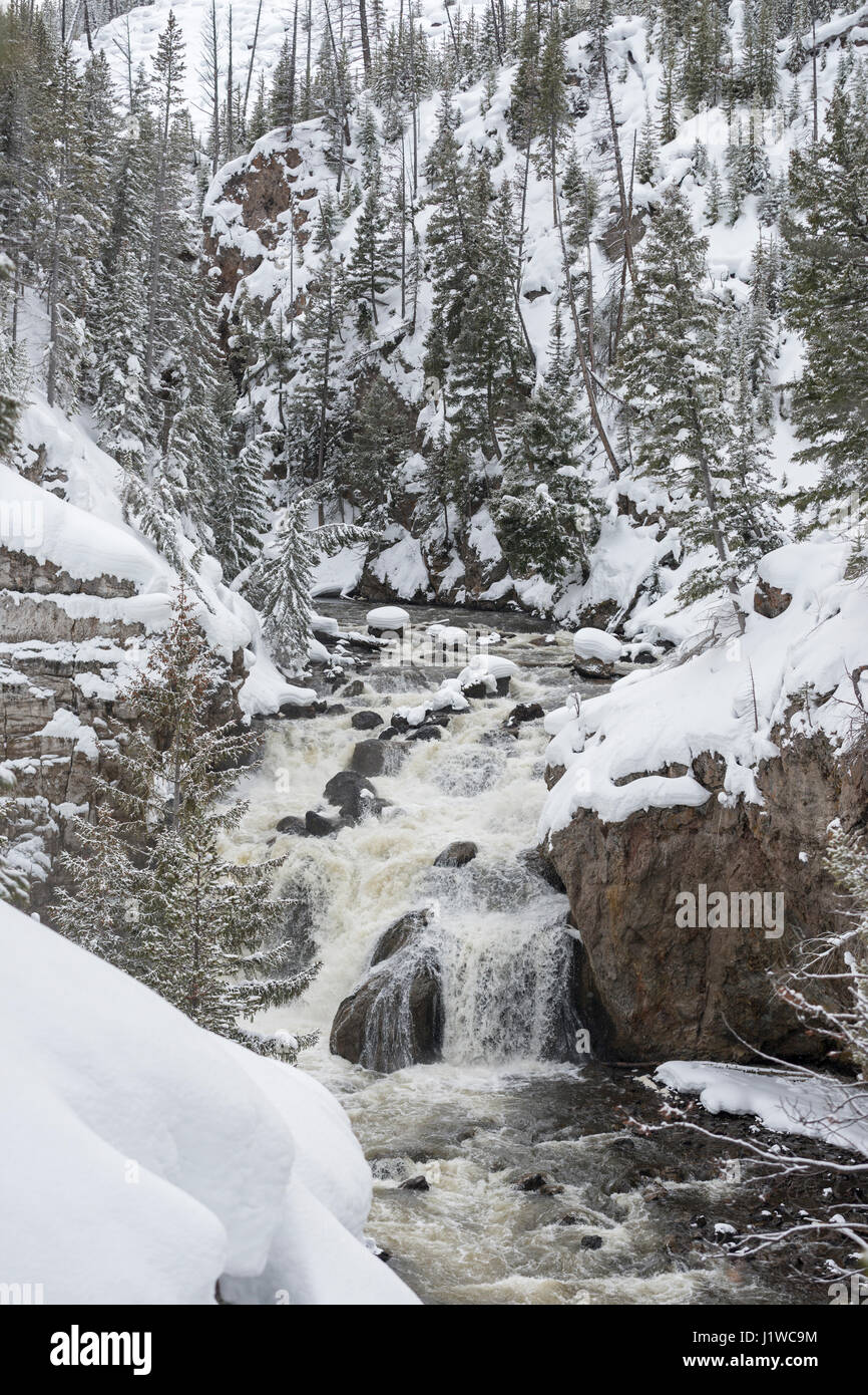 Yellowstone overview hi-res stock photography and images - Alamy
