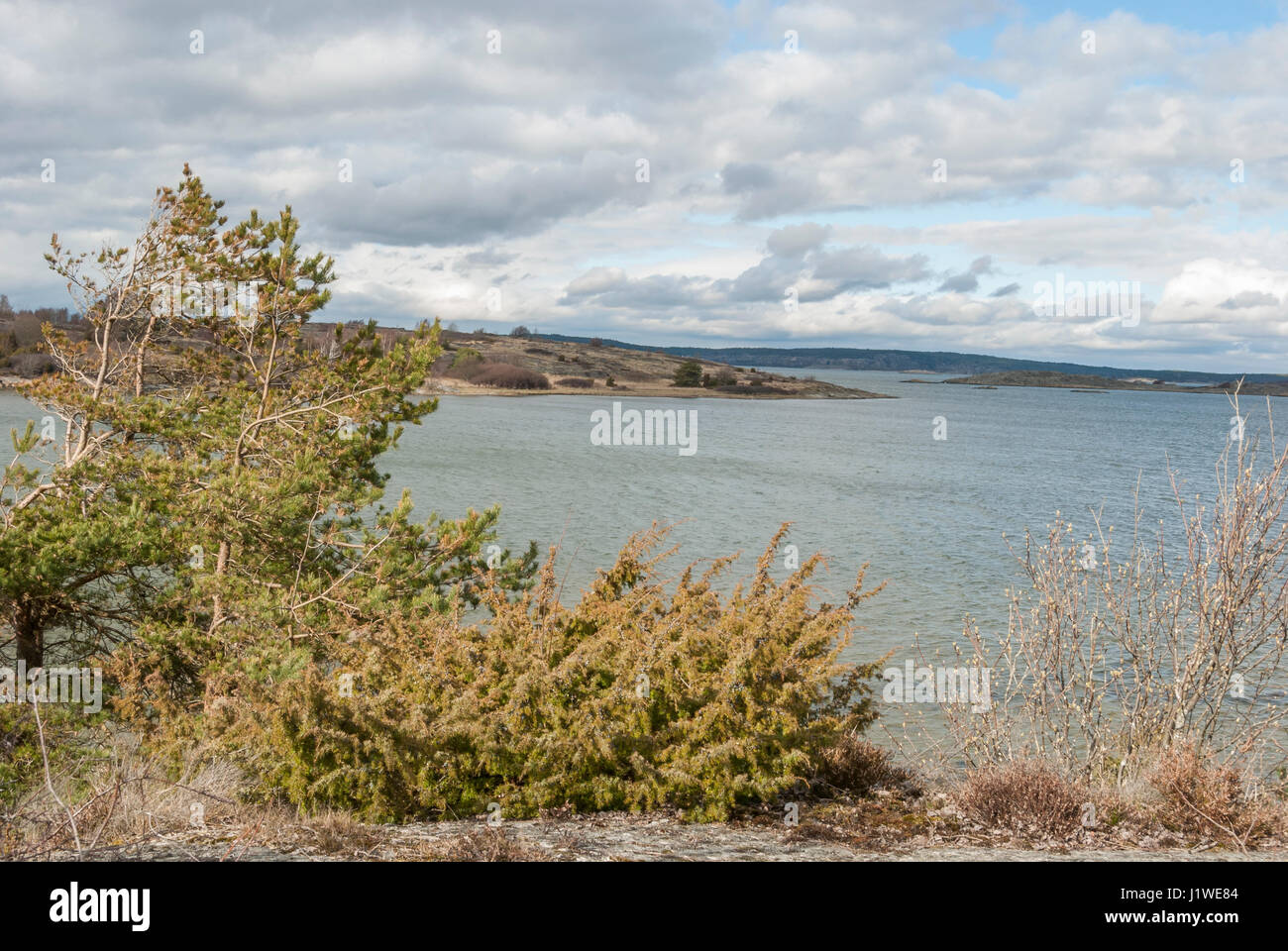 Springtime at the west coast Stock Photo - Alamy