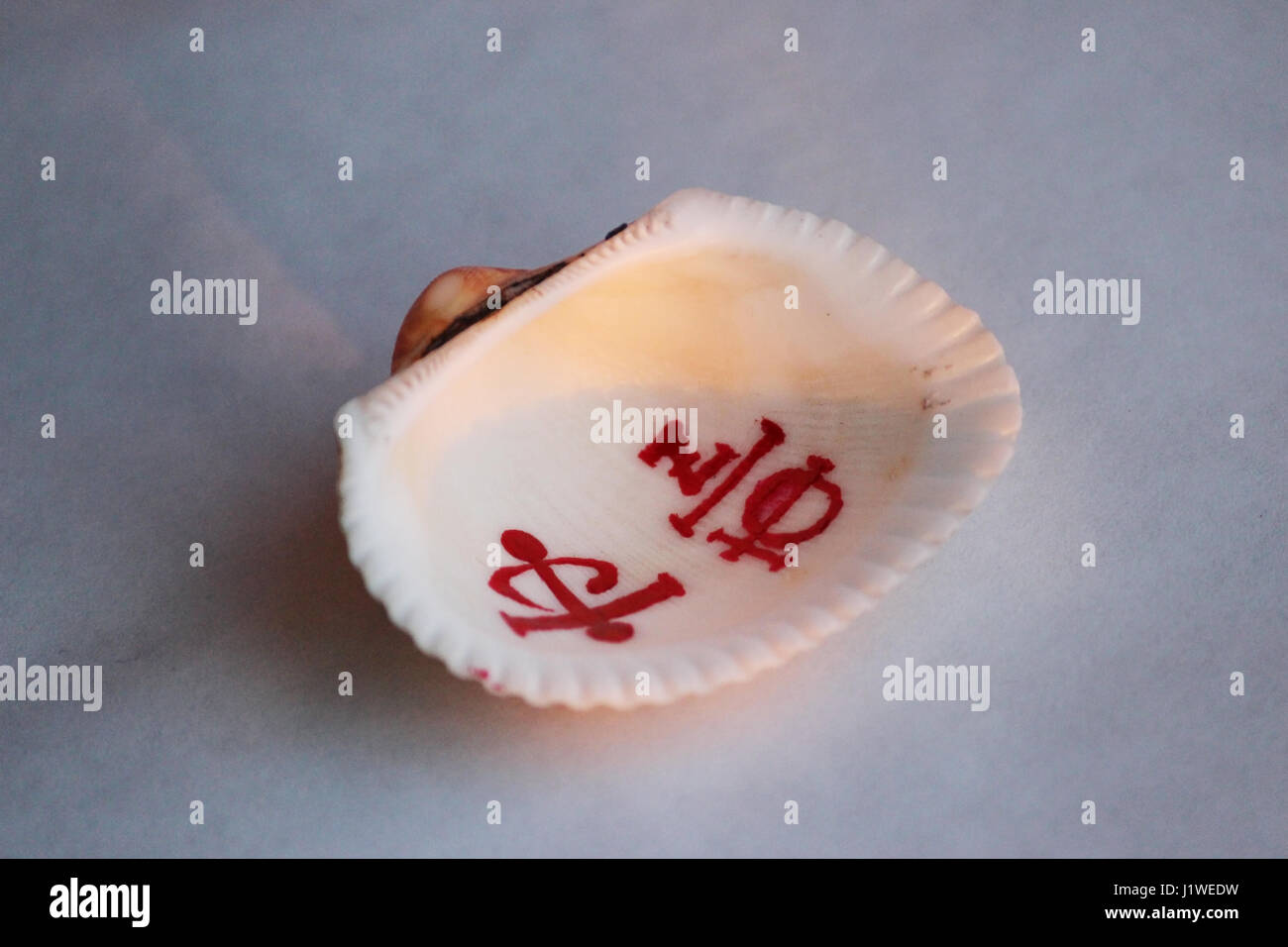Sigil, painted on the sea shell in the ancient Egyptian language for ...