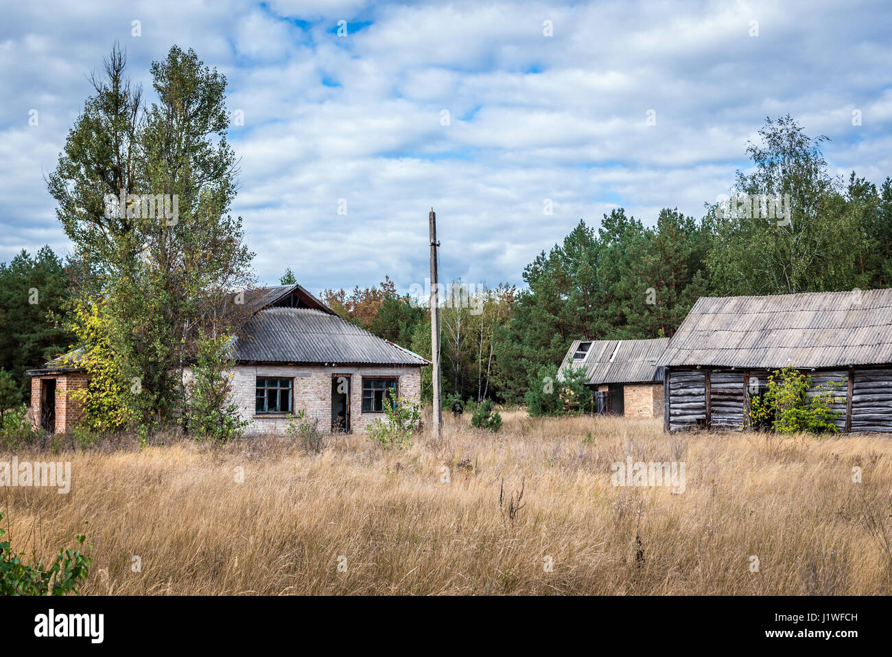 Old farm buildings in Mashevo abandoned village of Chernobyl Nuclear ...