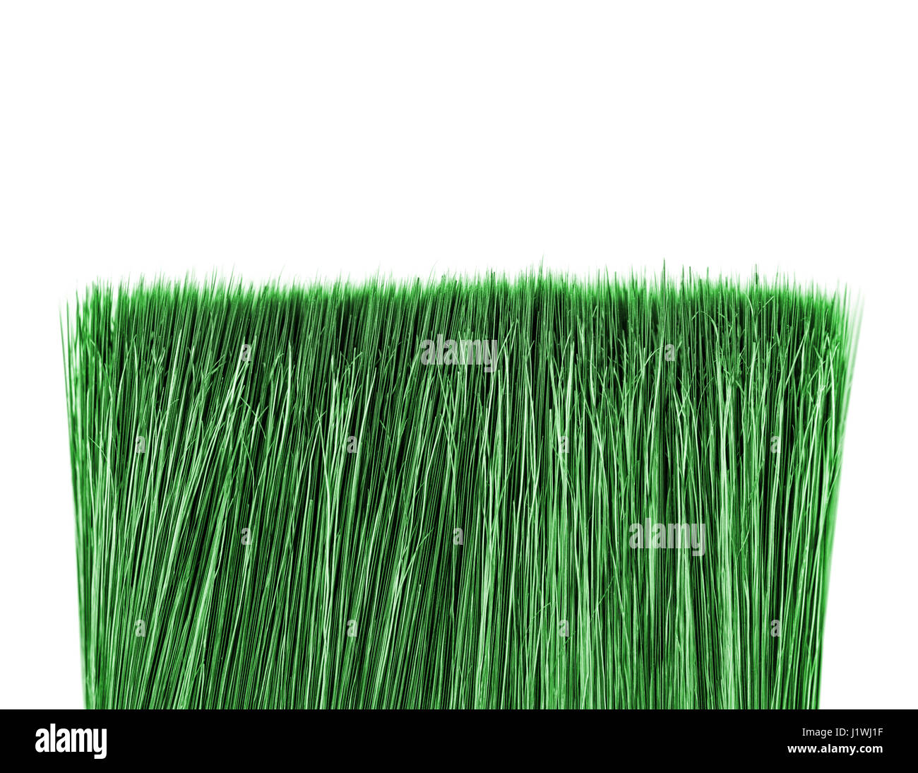 Long grass texture cutout hi-res stock photography and images - Alamy
