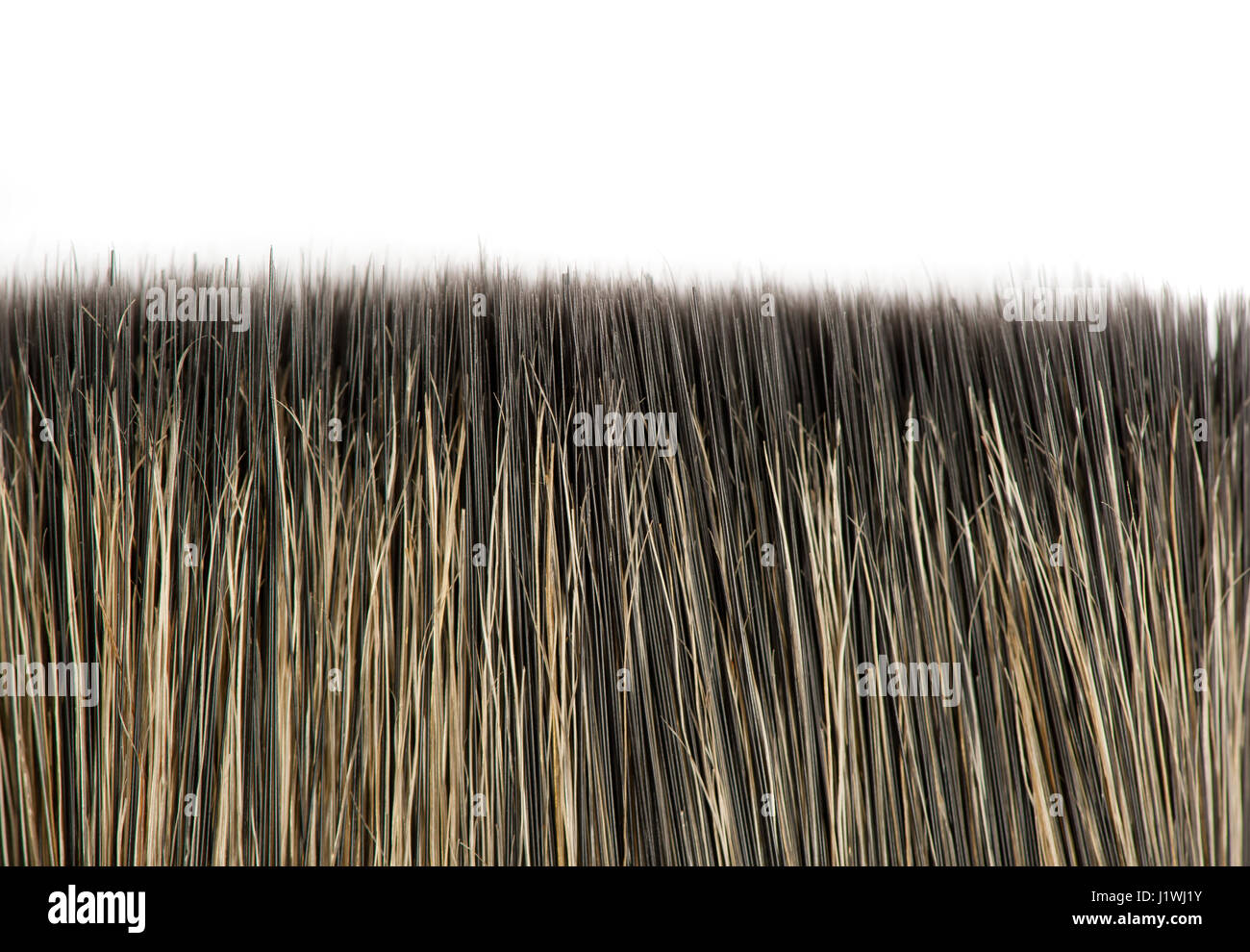 Bristle of brush close-up isolated on white background Stock Photo - Alamy