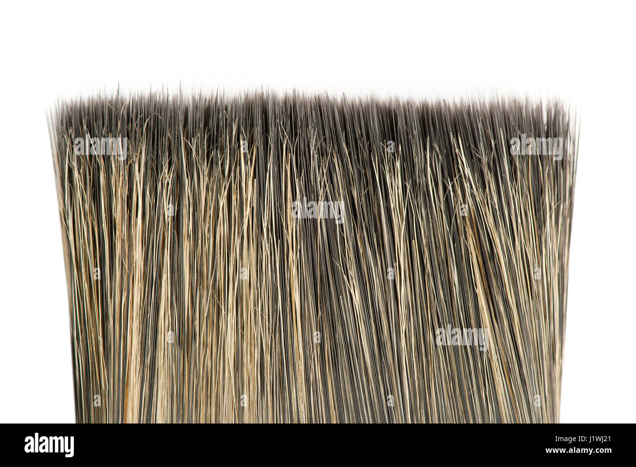 Bristle of brush close-up isolated on white background Stock Photo - Alamy