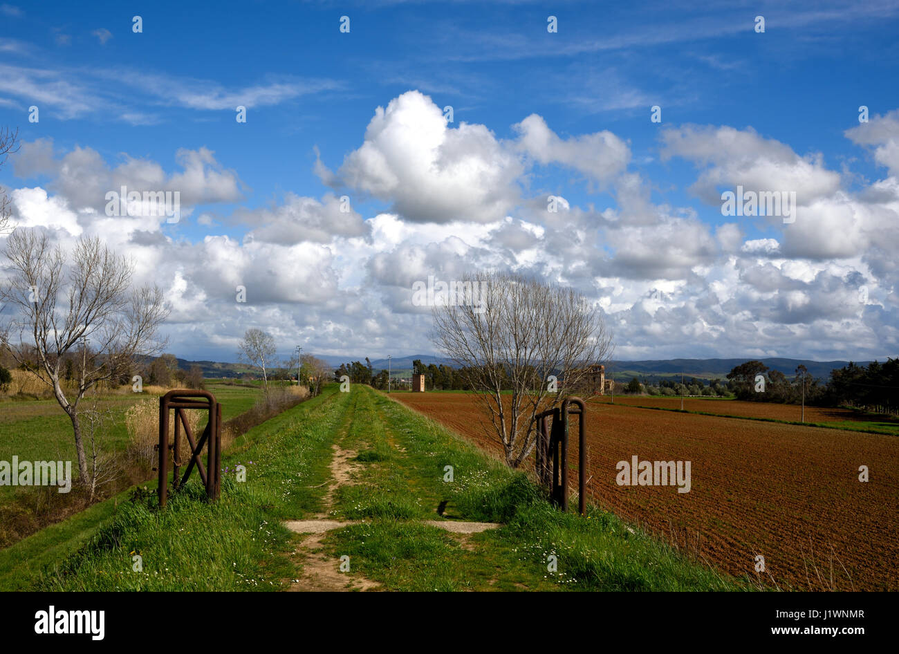 tuscan countryside on a spring day, italy Stock Photo - Alamy