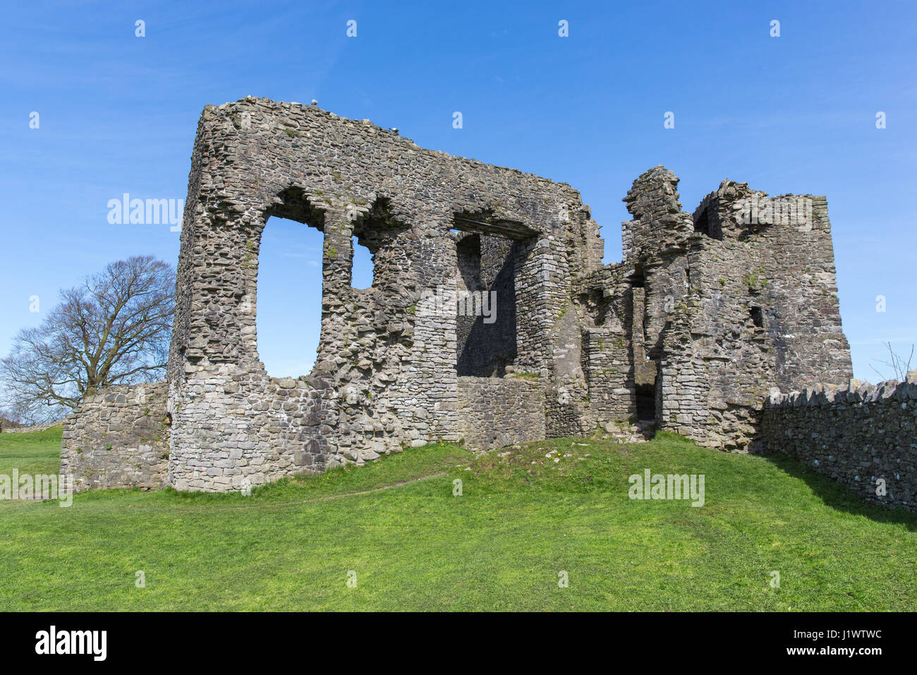 The ruins of Kendal Castle, Kendal, Cumbria Stock Photo - Alamy