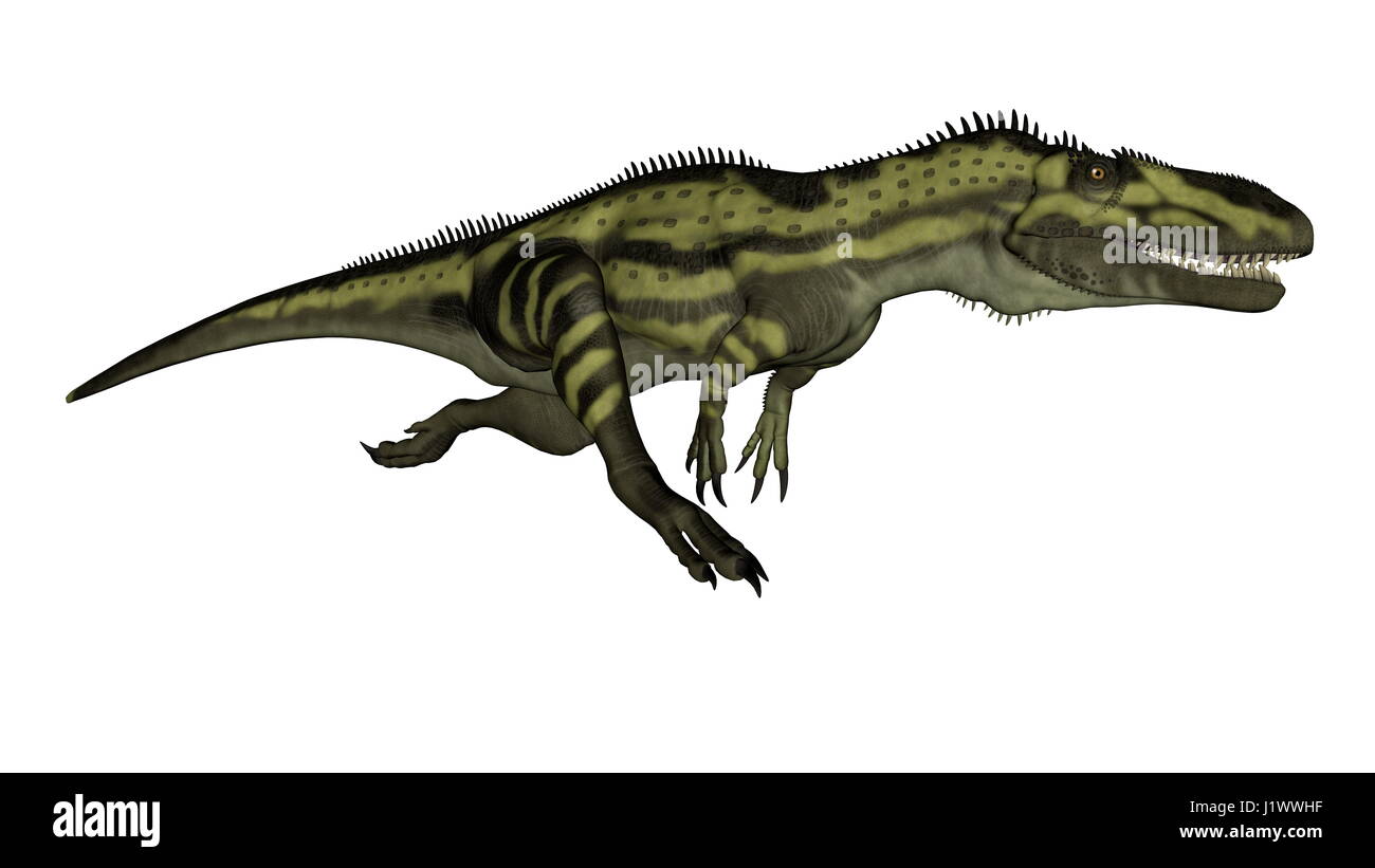 Torvosaurus dinosaurs running isolated in white - 3D render Stock Photo ...