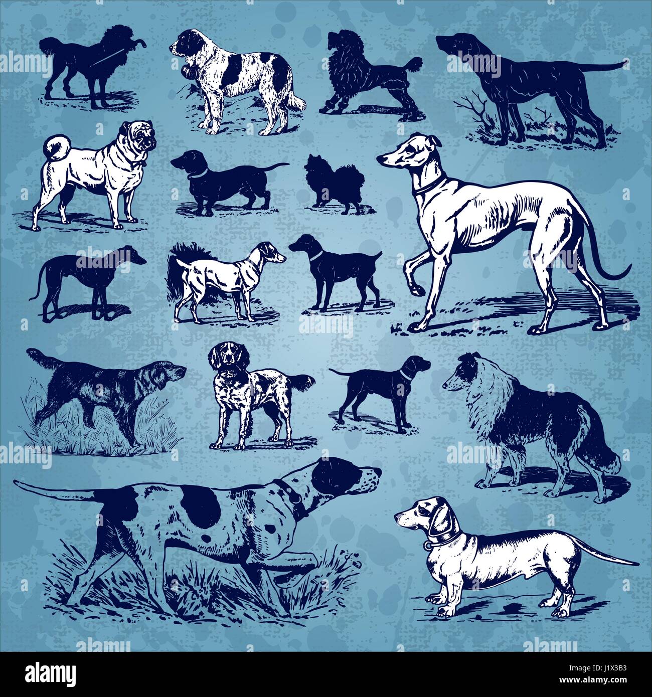 Set of antique dogs illustrations (vector Stock Vector Image & Art - Alamy