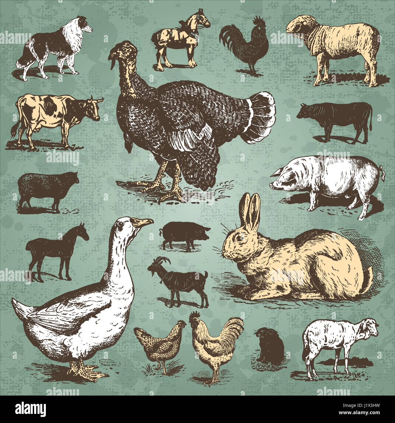 Vintage Style Animal Drawings at Rodger Morales blog