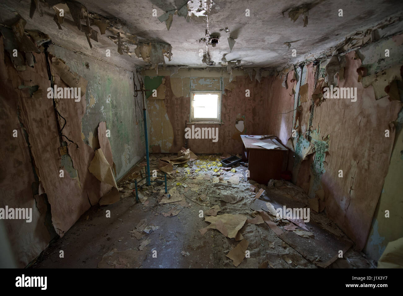 Yaniv hi-res stock photography and images - Alamy