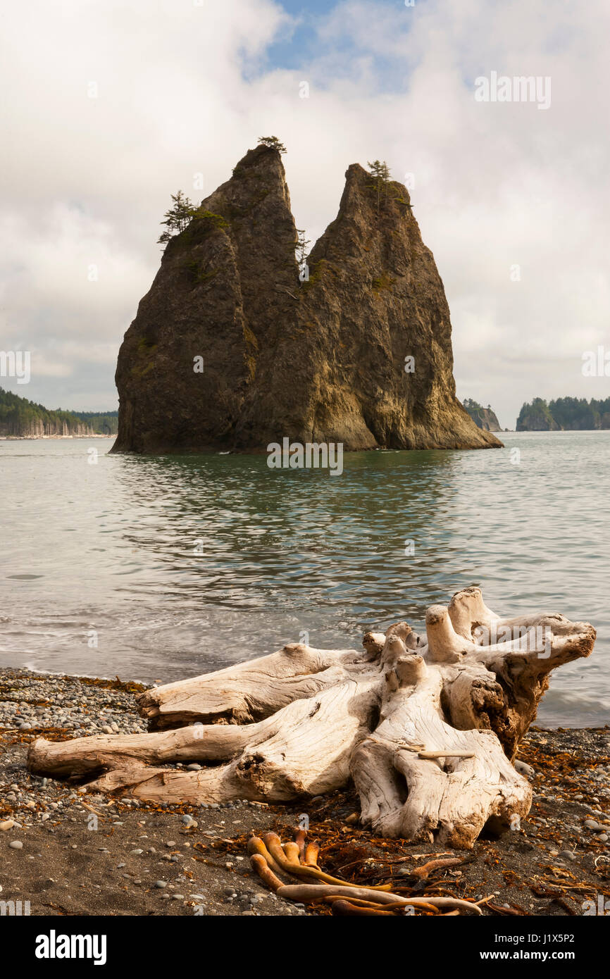 Split Rock rock formation, Olympic National Park, WA, USA Stock Photo ...
