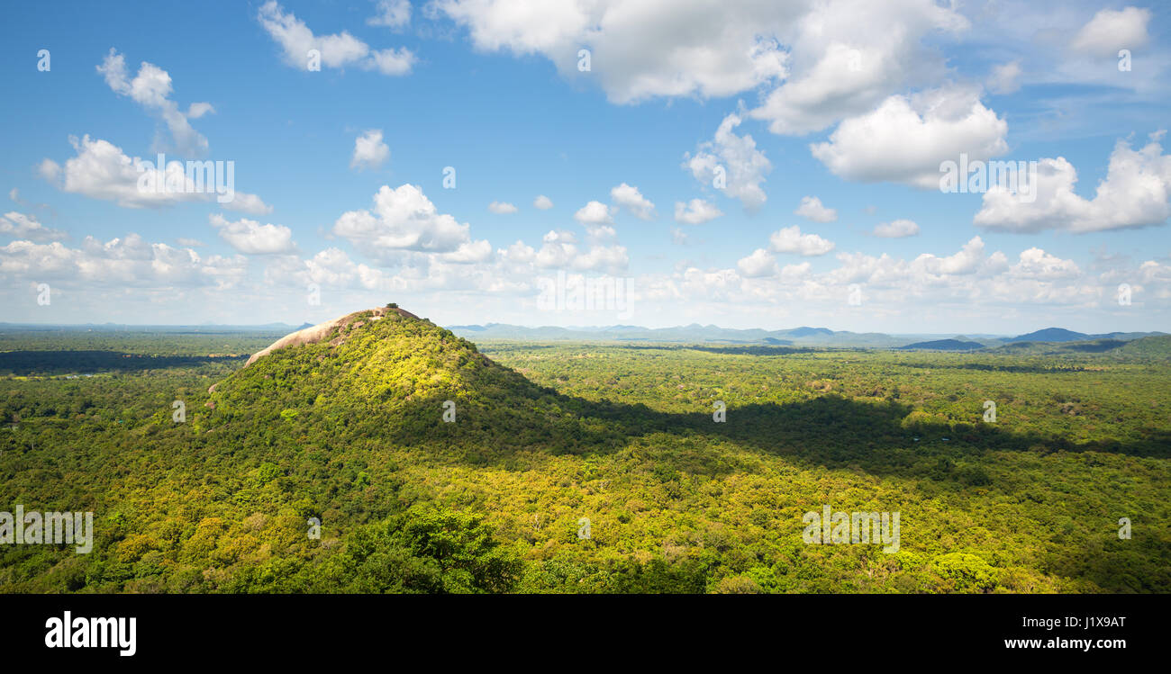 Scenic green valley and tea mountains, Ceylon. Landscape of Sri Lanka ...